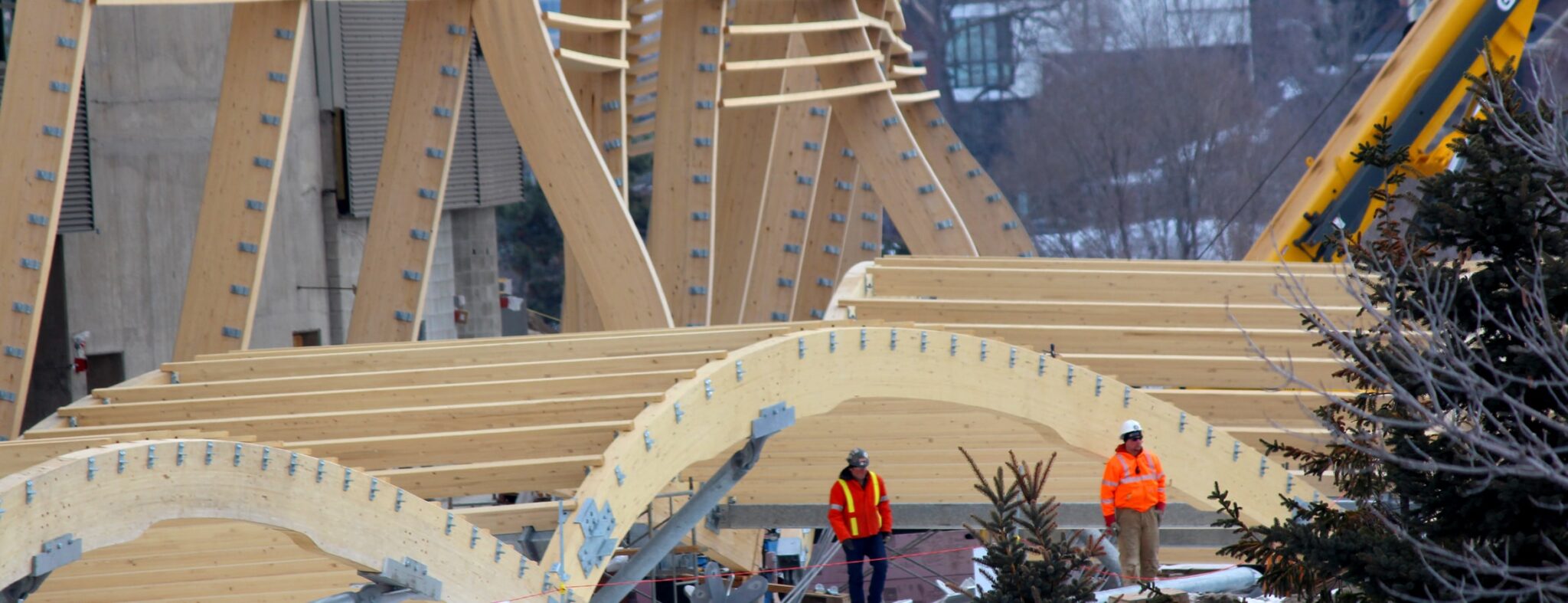 Mass Timber Connections: Aesthetics vs. Practicality - Moses Structural ...